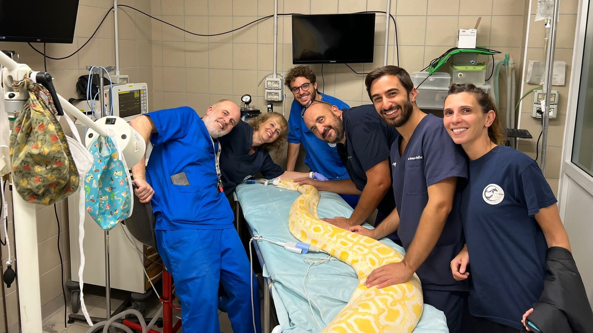 Pippo è stato operato, il pitone di 5 metri ora sta bene